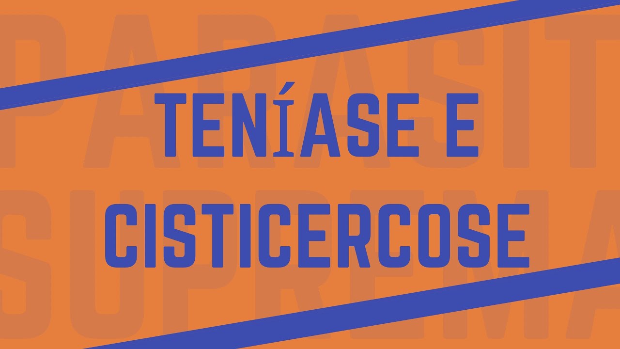 Aula 1 - Teníase e Cisticercose (PARASITOLOGIA) - YouTube