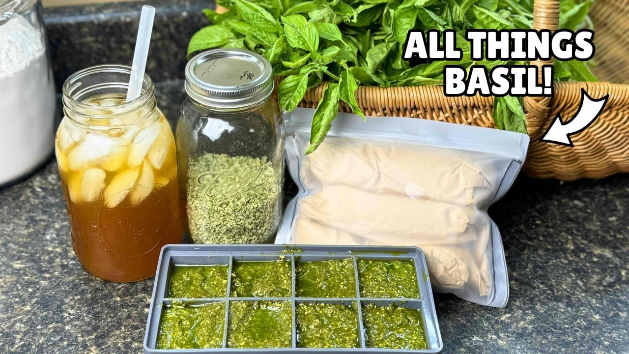 4 Mind Blowing Ways To Use and Preserve Basil In Your Kitchen! - YouTube