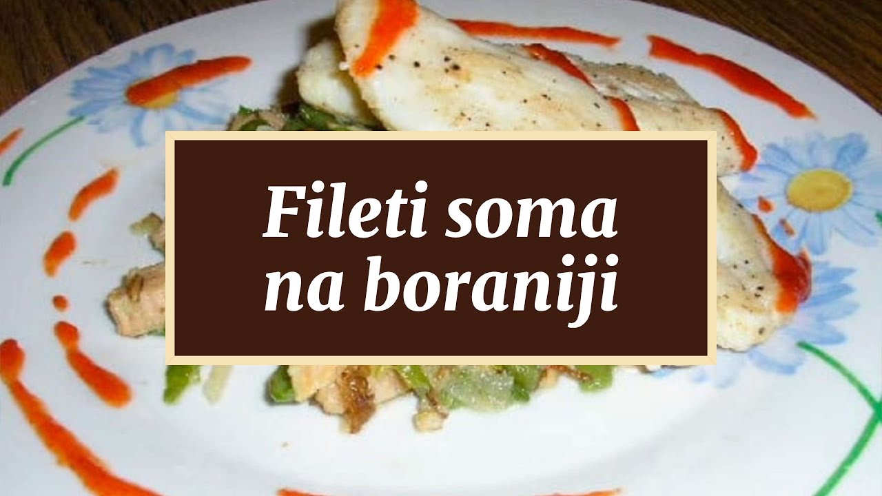 Fileti soma na boraniji - YouTube
