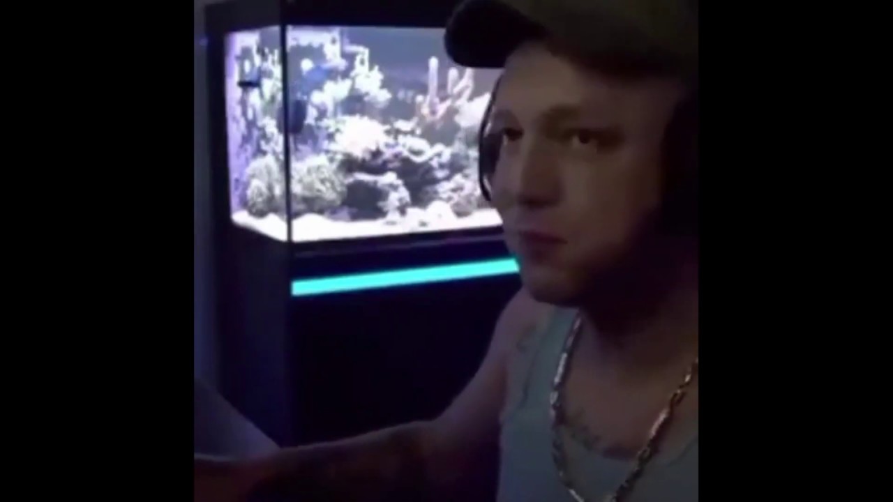 Monte Memes - YouTube