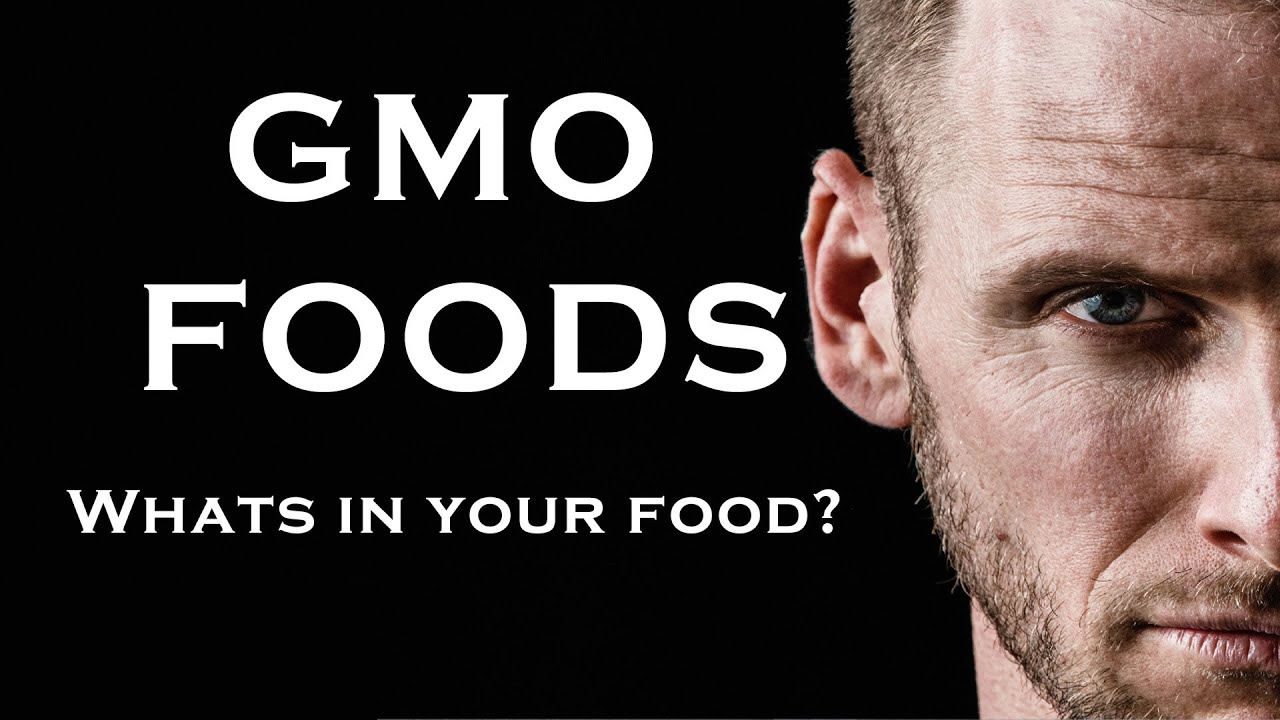 What are GMO foods and where can you find them? - YouTube