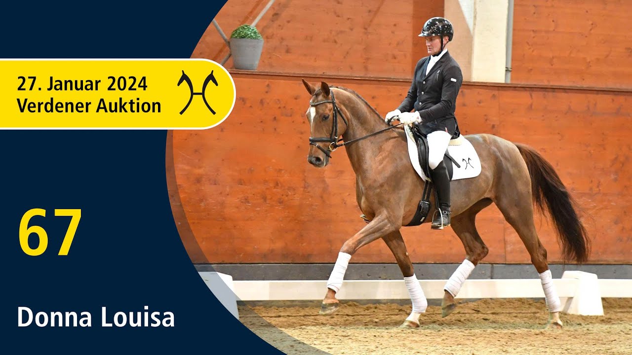 Verden Auction Online - Sporthorses - Jan. 27 - No. 67 Donna Louisa by ...