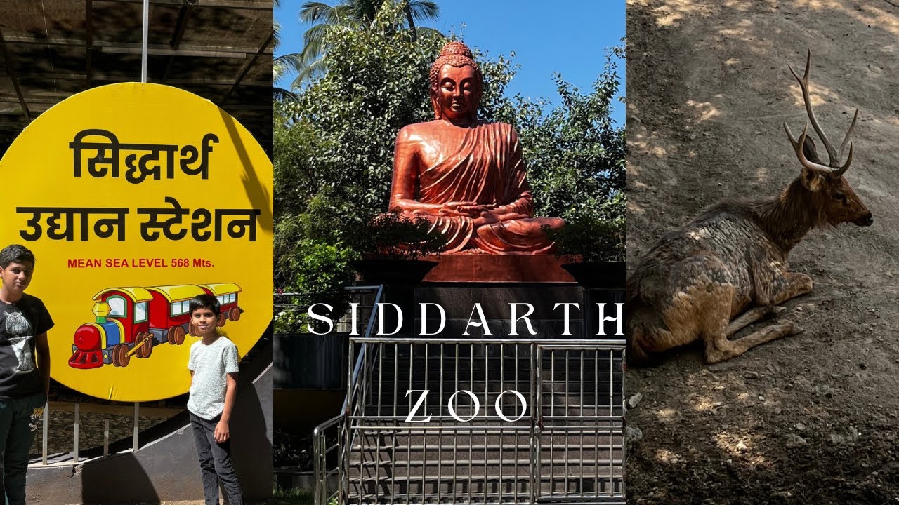 Siddharth Garden Zoo: Exploring a Beautiful Animal Sanctuary ...