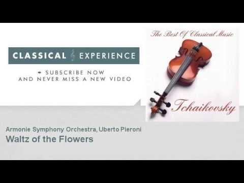 P. Tchaikovsky : Waltz of the Flowers - ClassicalExperience - YouTube
