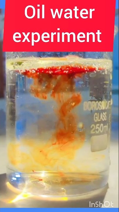 "Mixing Oil and Water: A Fun Food Coloring Experiment"#oil#water#viral ...