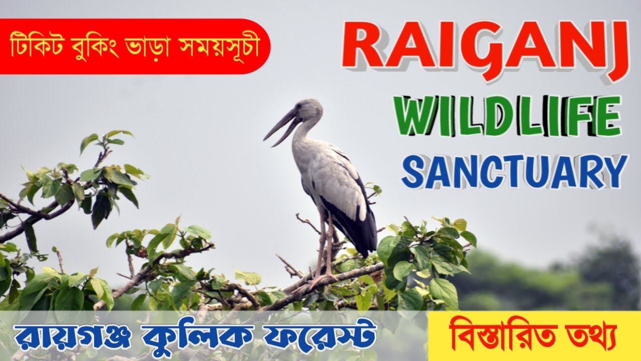 Raiganj Wildlife Sanctuary | Kulik Bird Sanctuary Raiganj | Kulik ...