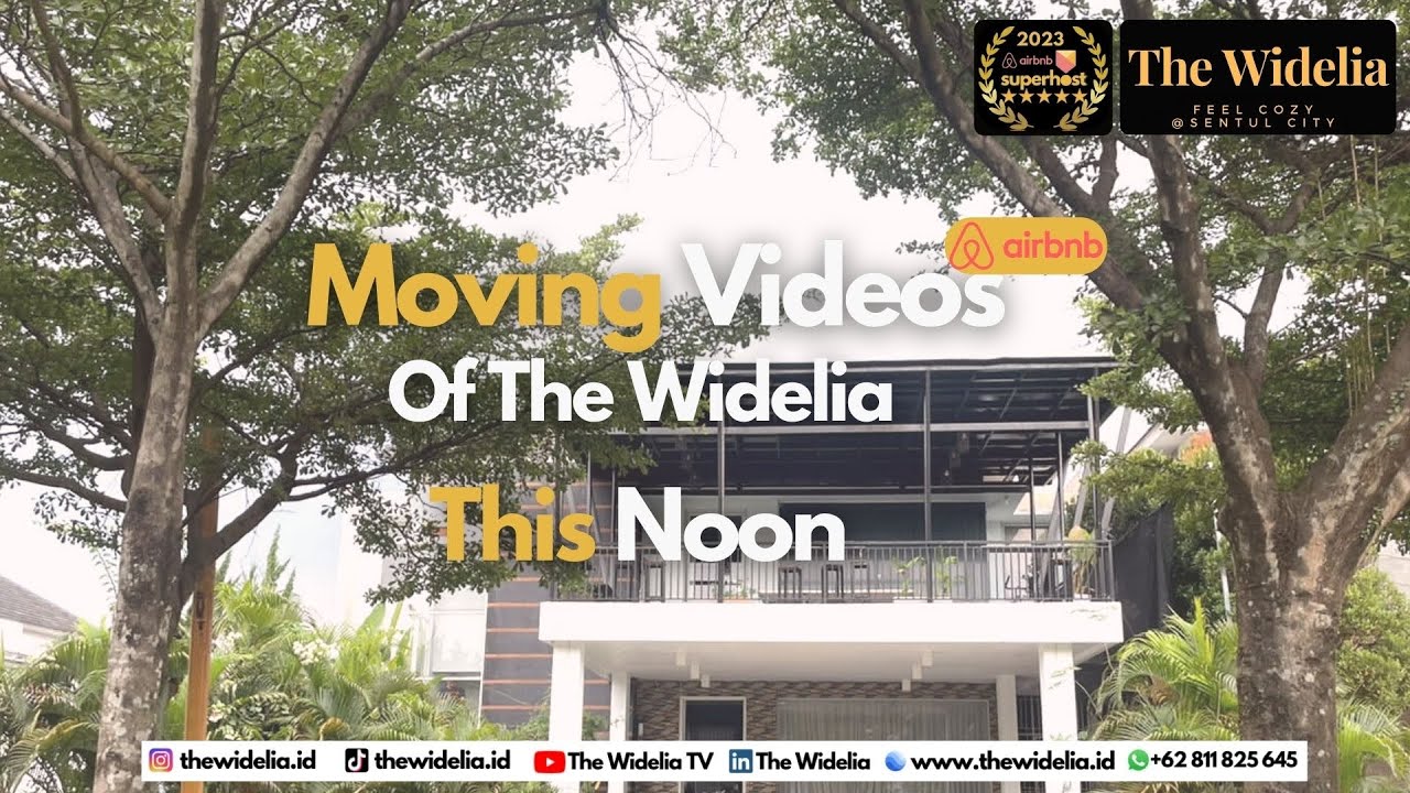 The Widelia Moving Portrait Scenes - YouTube