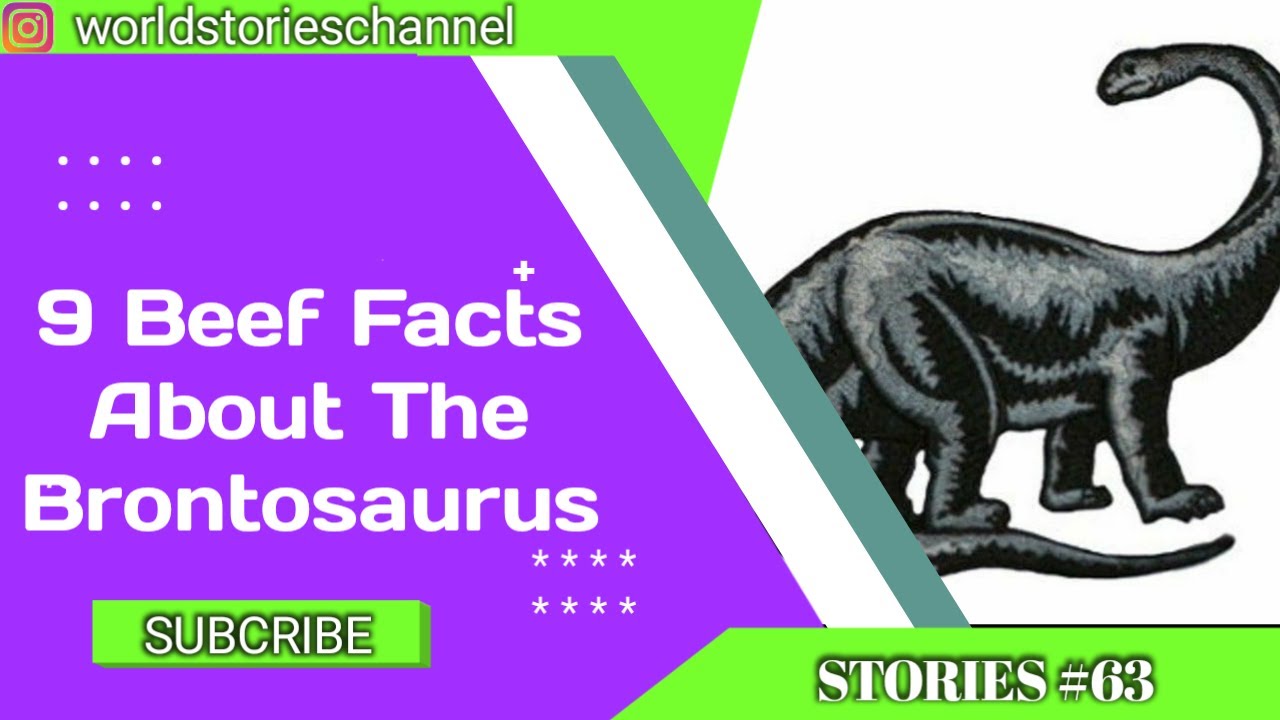 9 Beefy Facts About The Brontosaurus - YouTube