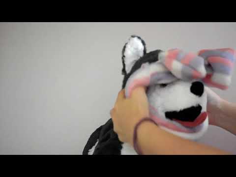 Dog fing fing - YouTube