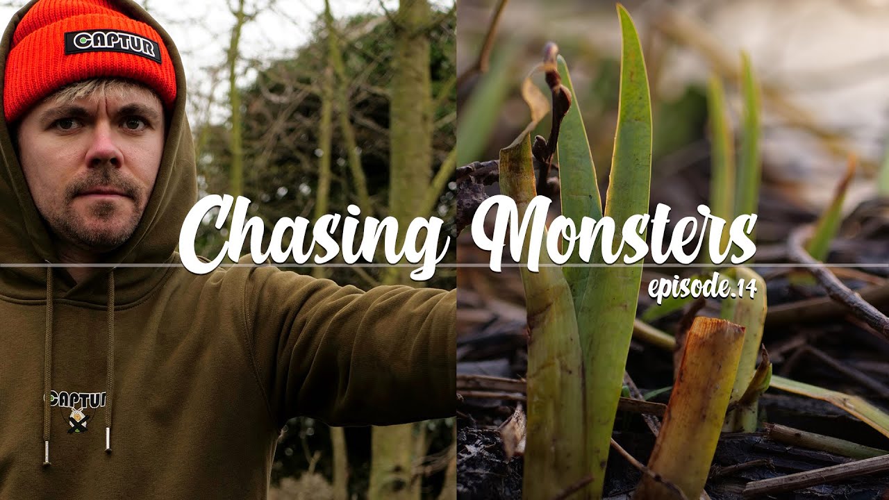CHASING MONSTERS EPISODE 14 - FEBRUARY 2022 - THE CHASE - BACKONTHEBANK ...