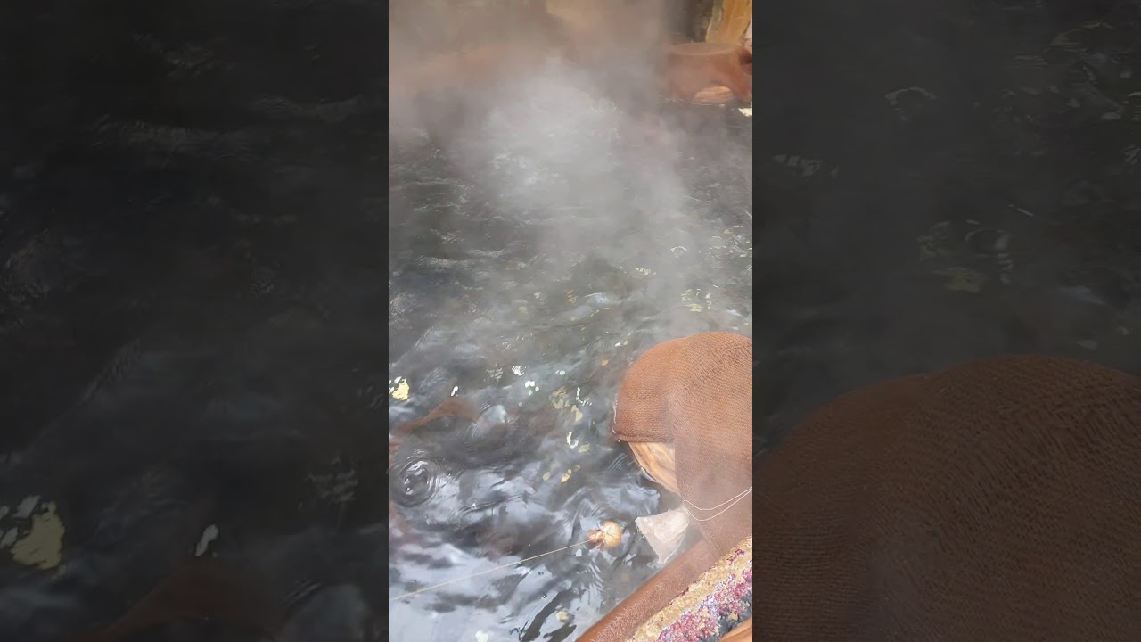 Visit to Manikaran Hot spring - YouTube