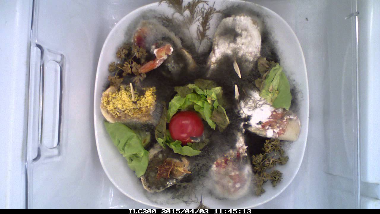 Food rotting - Tapas - CC Version - YouTube