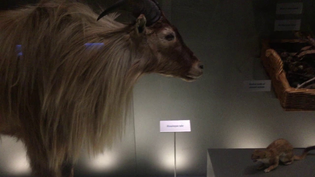 Part 5, 14 Feb 2020 - Friday, Holiday in Wellington, New Zealand: NZ ...