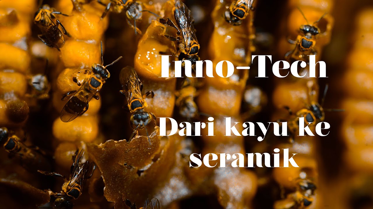 Kelulut Ceramic Hive - YouTube