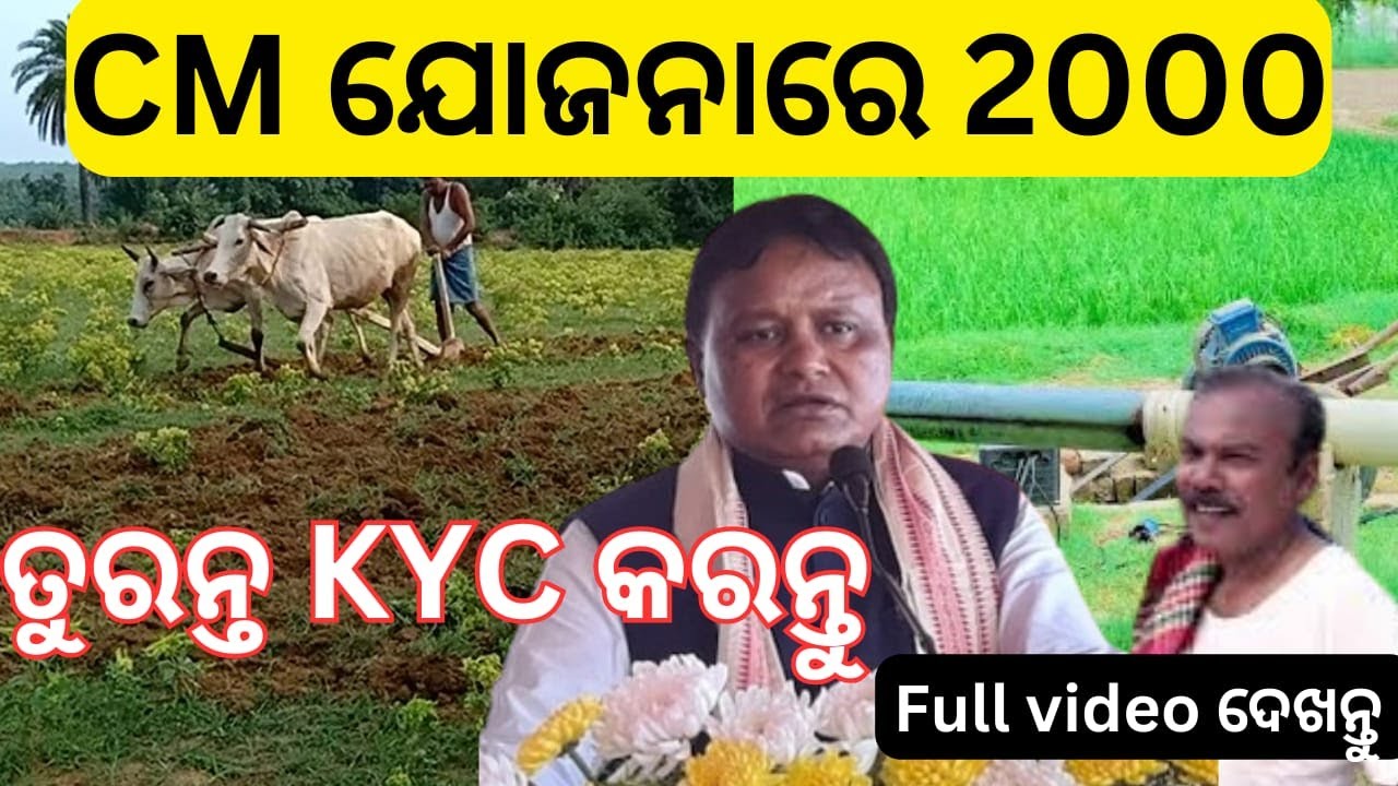 ଓଡିଶା CM ଯୋଜନାରେ ପାଇବେ RS-2000 | CM ଯୋଜନାରେ ପାଇବେ RS-2000 | How to CM ...