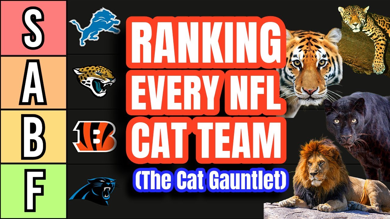 DECIDING THE BEST CAT TEAM IN THE NFL!! (Tier List Edition) - YouTube