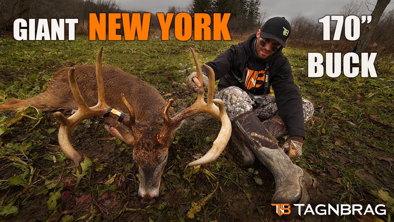 GIANT 170 Drop Tine Buck Reincarnated! - YouTube