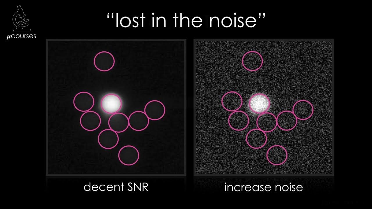 Signal To Noise Ratio Youtube