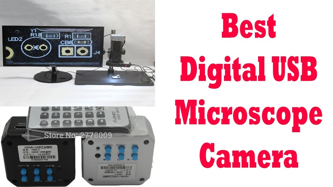 Best Usb Microscope Camera || Digital Microscope Camera - YouTube
