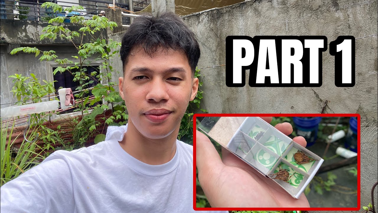 PINAKAWALAN KO ANG MGA PANG DERBY KONG GAGAMBA - YouTube