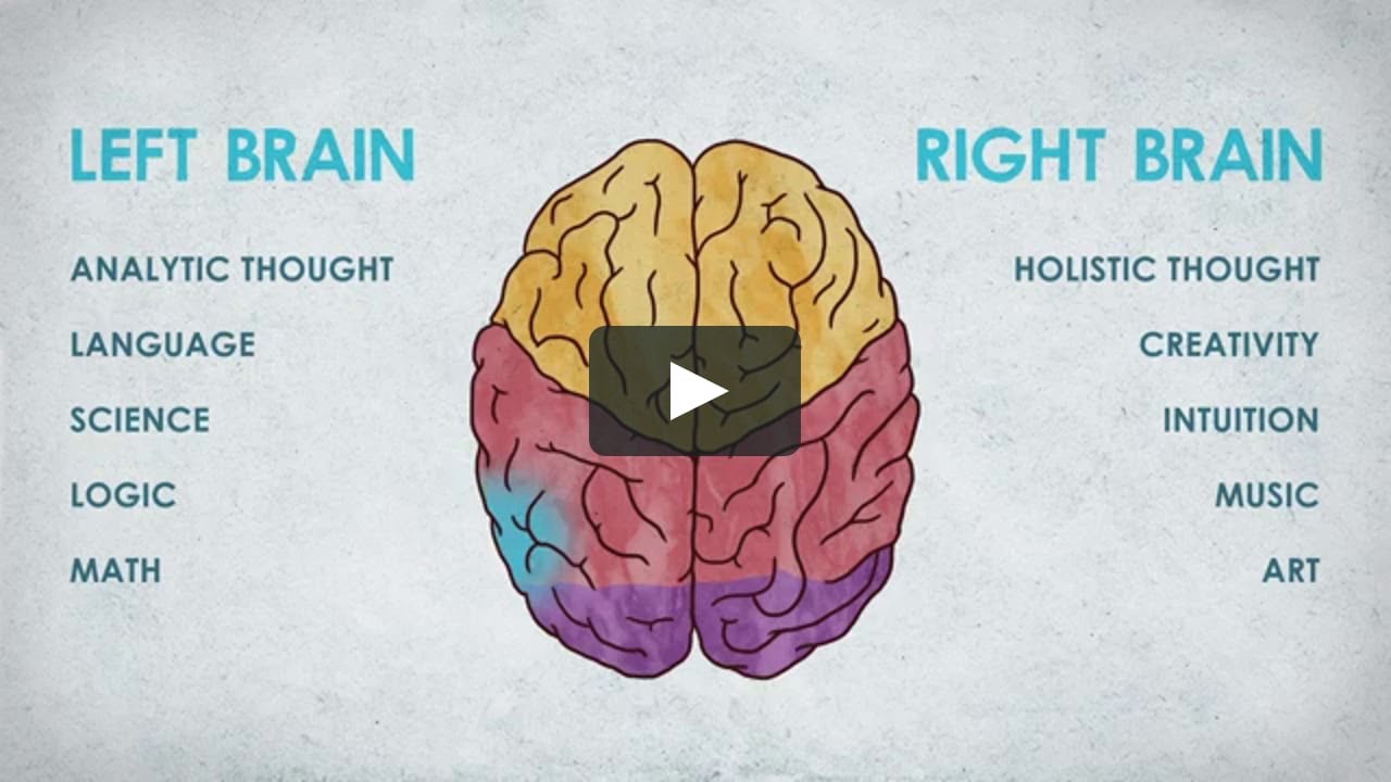 What is dyslexia? TED-Ed Video by Kelli Sandman-Hurley - YouTube