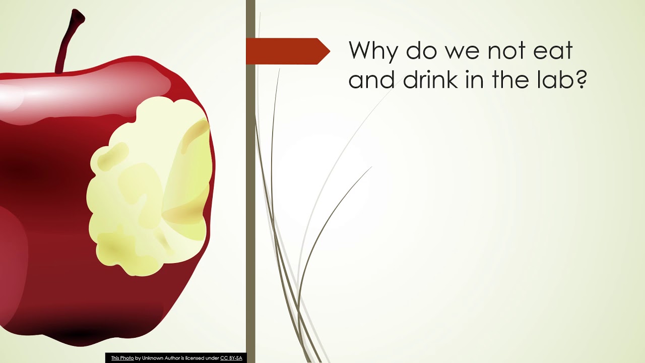 Science lab rules - YouTube