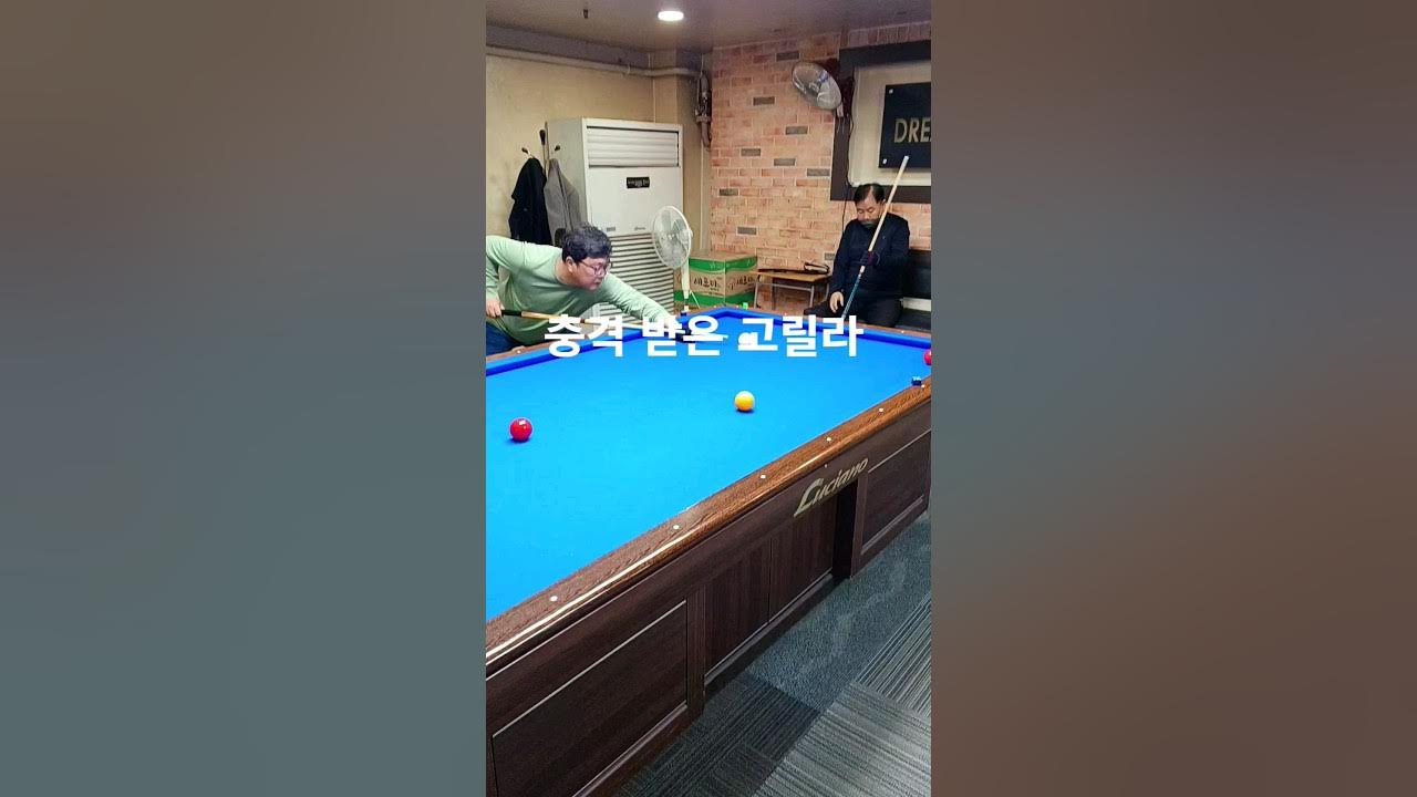 충격 받은 고릴라 Youtube