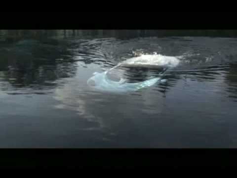 Wayne V. Johnson: World's First Underwater Car - YouTube