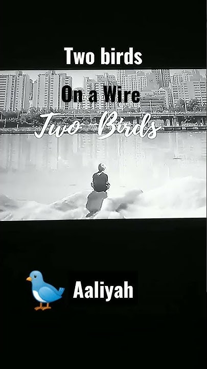 2 birds on a wire..😭 - YouTube