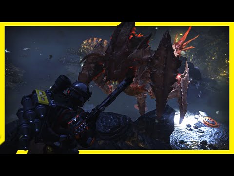 A Helldiver and a Sneaky Bug