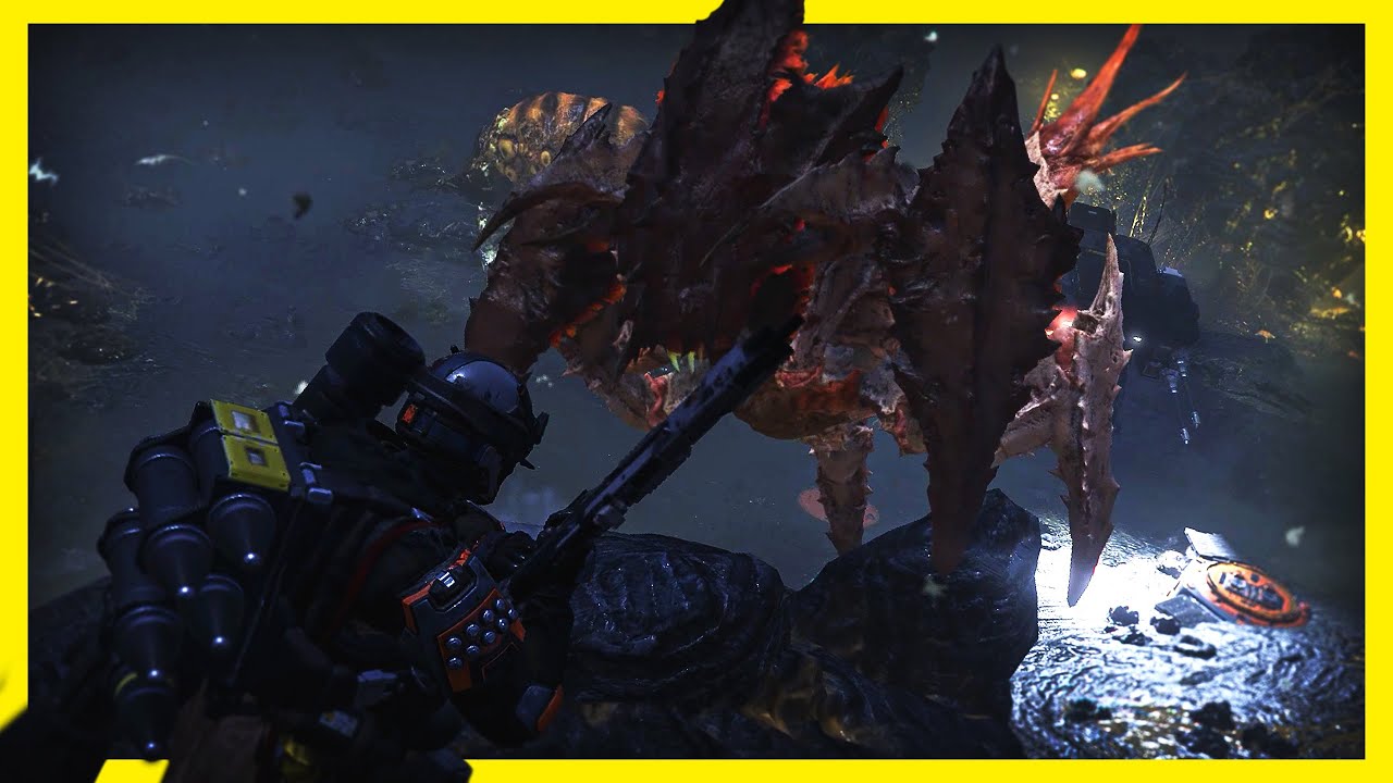 A Helldiver and a Sneaky Bug - YouTube