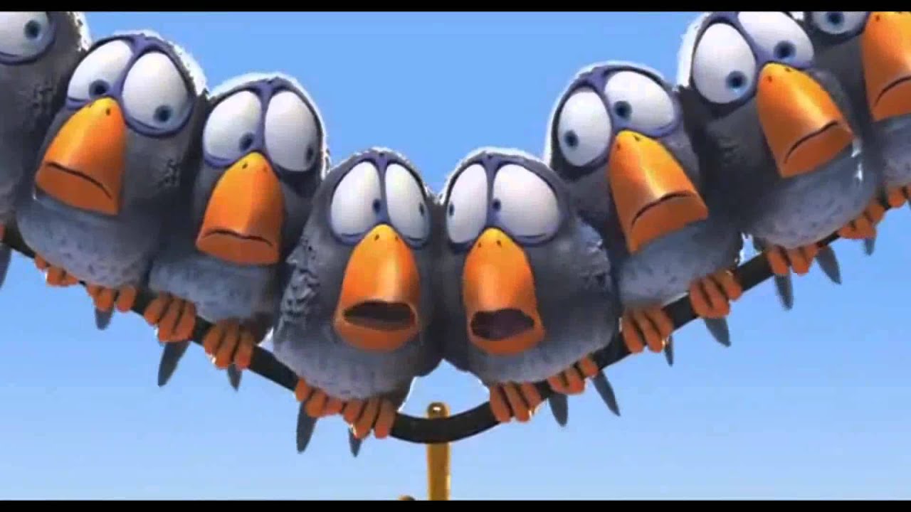Birds Teamwork Video - YouTube