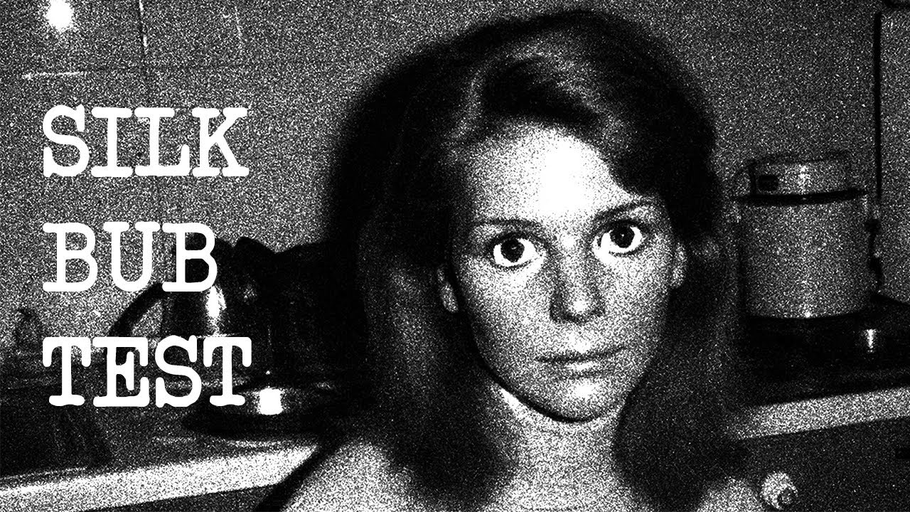 Silk Bub Test Demo - Indie Horror Game (No Commentary) - YouTube