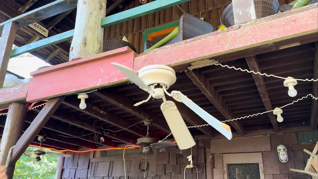 Ceiling Fan Destruction #80 - YouTube