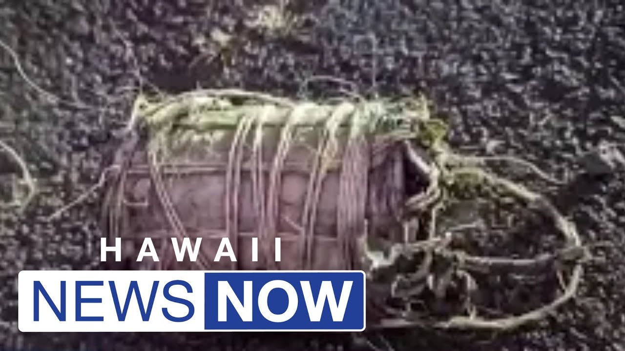 Man arrested in connection with Maui IED investigation - YouTube