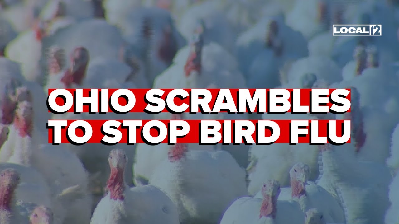 Ohio battles spread of bird flu to avoid potential environmental impact ...