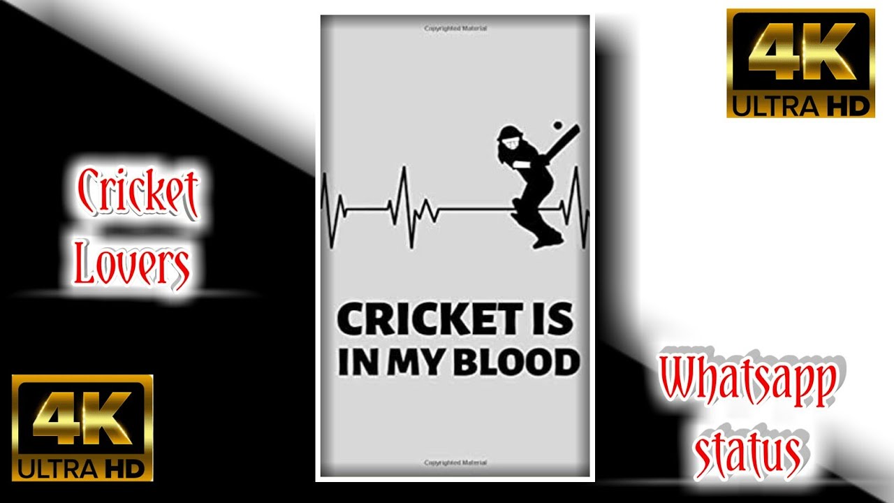 Cricket Lovers Status || Cricket is my Goal || Cricket Is My Life ...