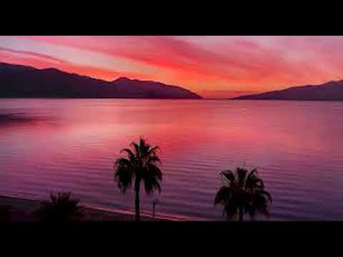 EREN - Ne Yapsam Bak Geceleri ( OFFİCİAL VİDEO )