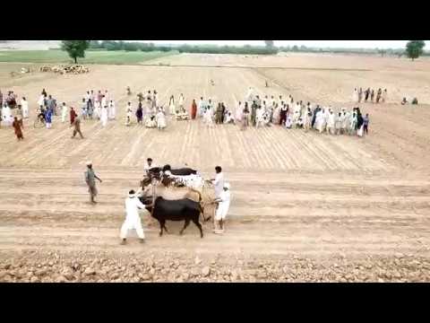 suhaga bull race and bail gadi race in 2018 with drone race wala game ...