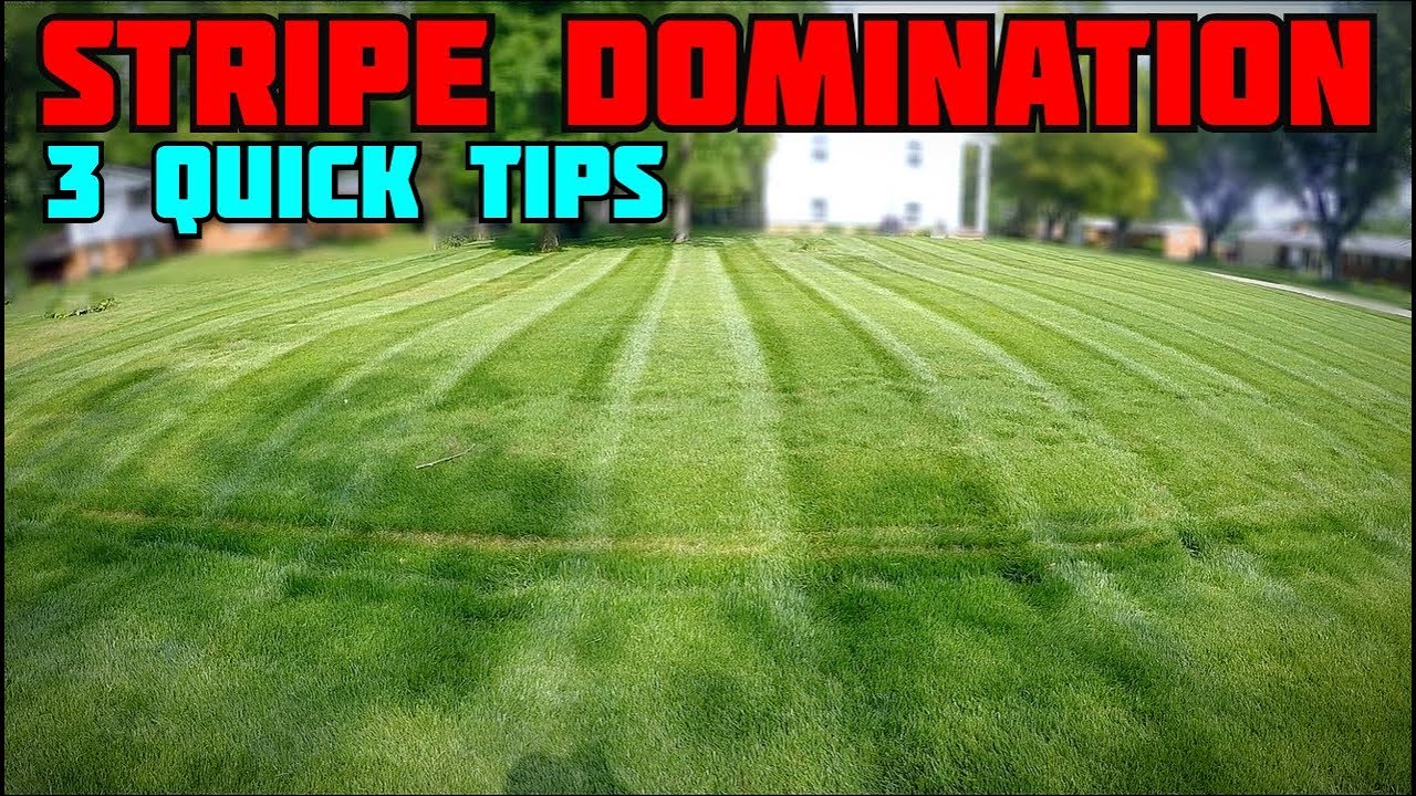 STRIPING Your Lawn! Get the BEST Stripes with these 3 TIPS! (dominate ...