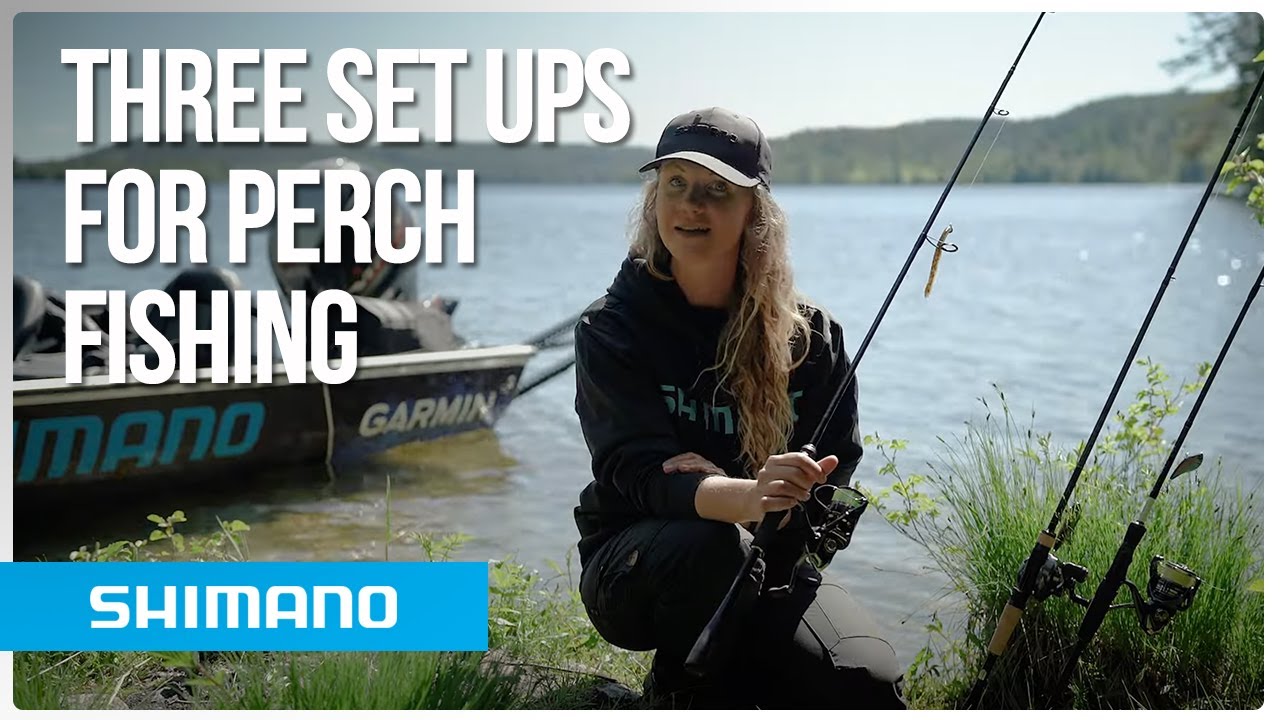 Three set ups for perch fishing - What Shimano Rod, Reel, Line and Lure ...