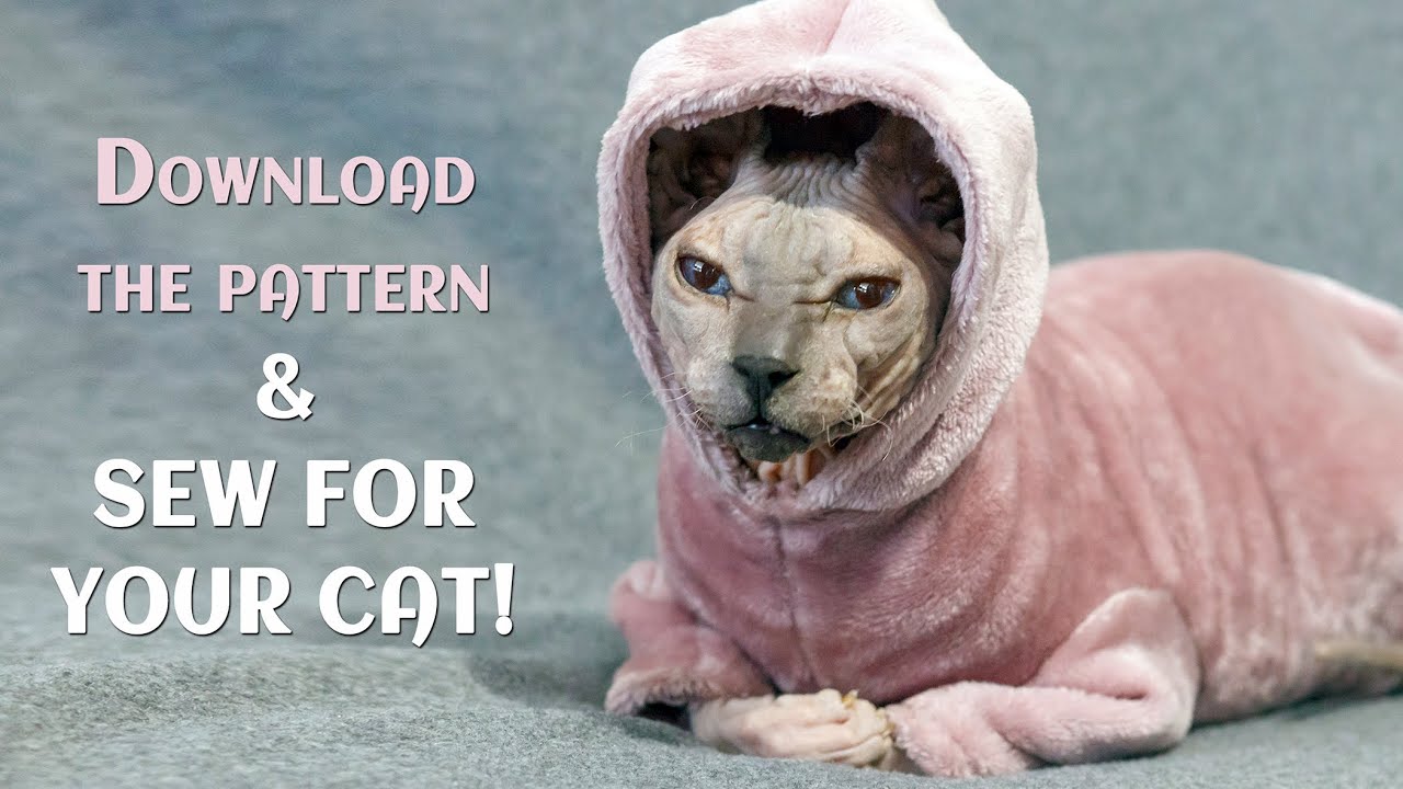 How to Sew Cat Clothes 🐾 Sphynx Sweater A4 Pattern - YouTube