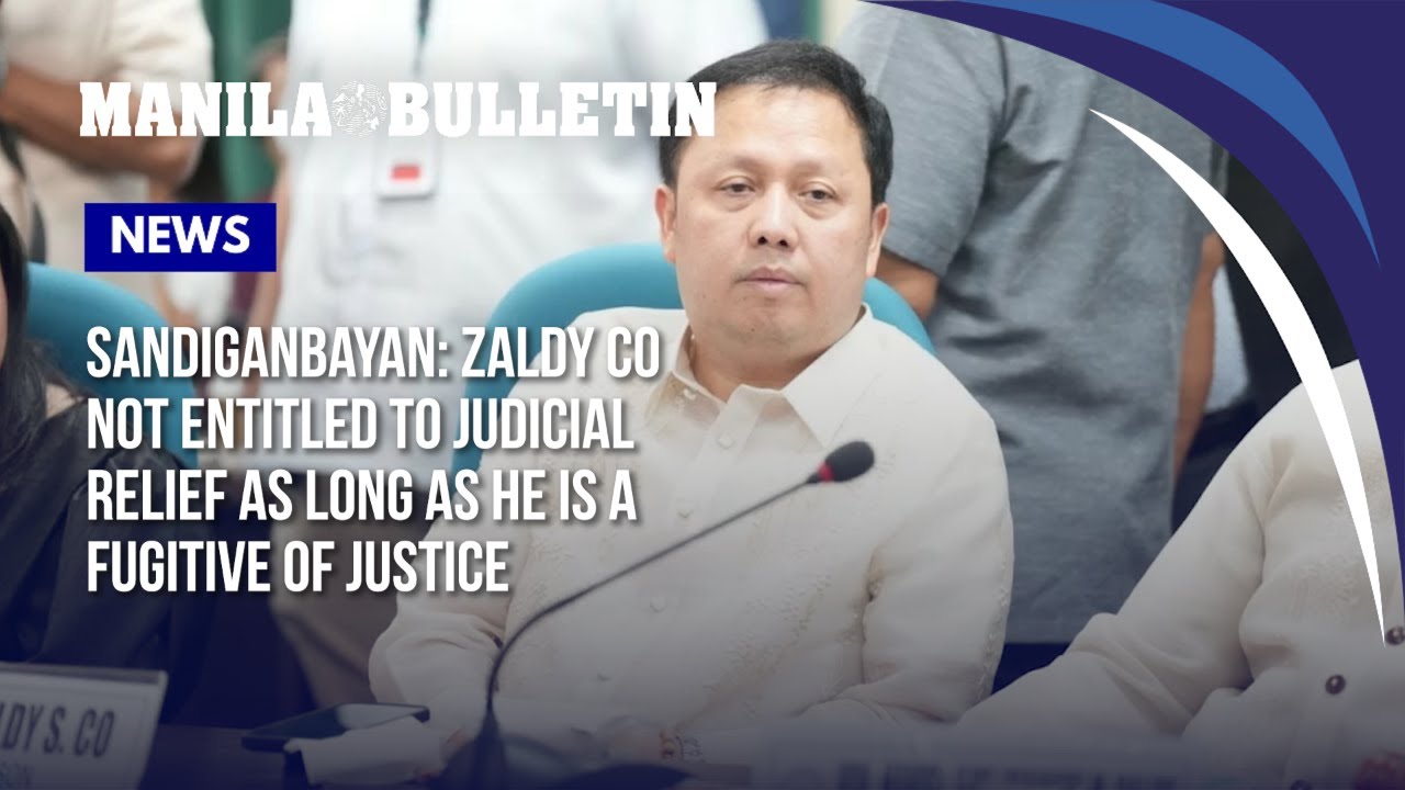Sandiganbayan: Zaldy Co not entitled to judicial relief | Newsbreak ...
