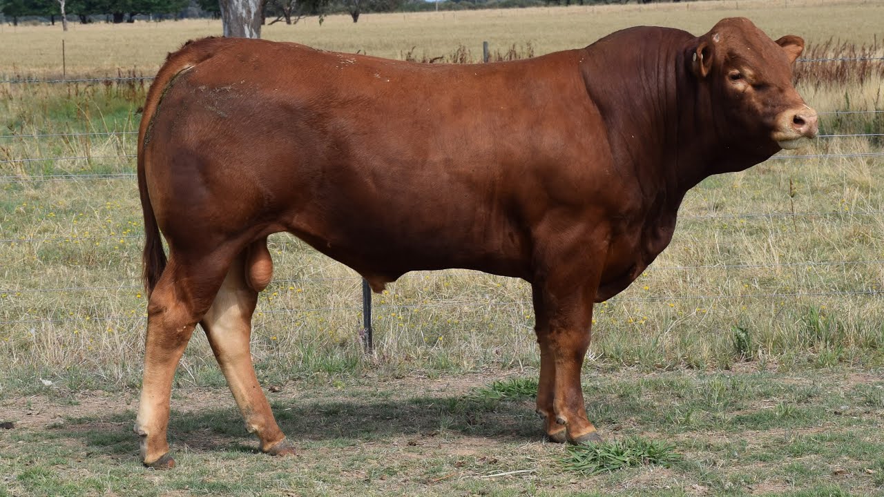 LOT 17 - JWMFS14 - CHATEAU SOVEREIGN S14 - YouTube