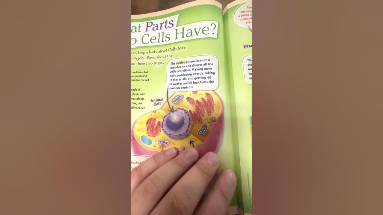 Cells Science Fusion 5th Grade - YouTube