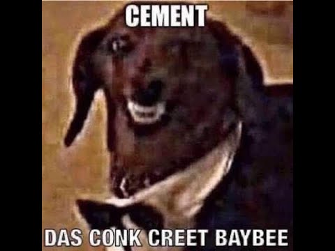 Das Conk Creet Bay Bee - YouTube