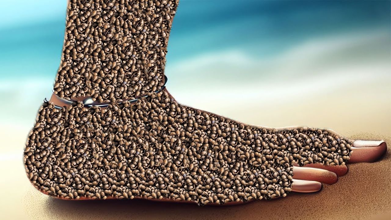 Asmr Foot Youtube