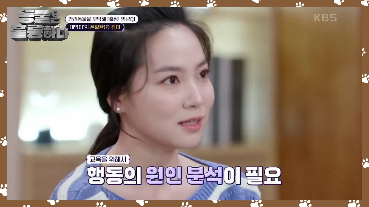 [출장! 멍냥Q] GO! 지안 교육! [동물은 훌륭하다] | KBS 250113 방송 - YouTube