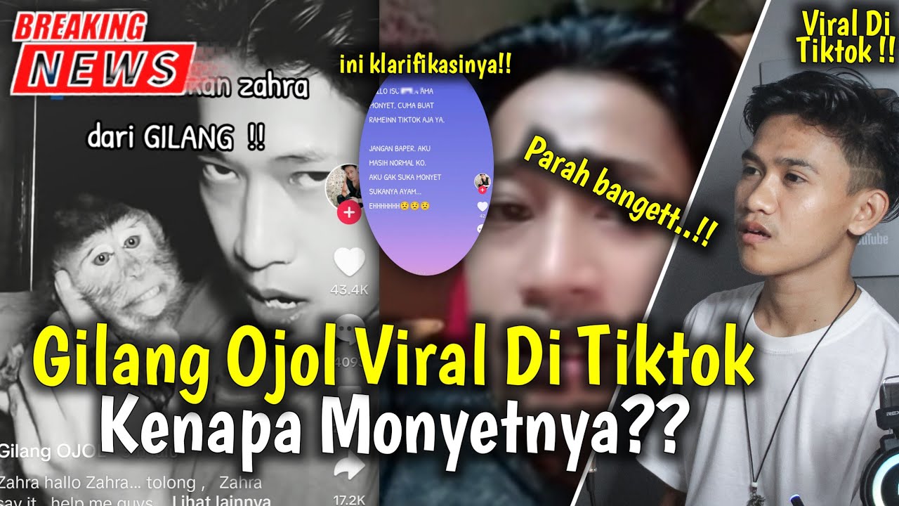 Gilang Ojol Sama Monyet Viral Di Tiktok !! Banyak Yang Nyari Videonya !! Ternyata Begini ...