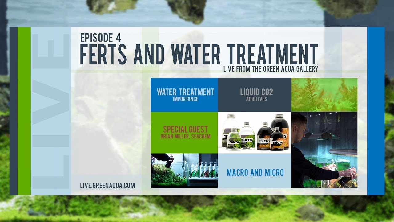 Episode 4: Ferts and Water Treatment - YouTube